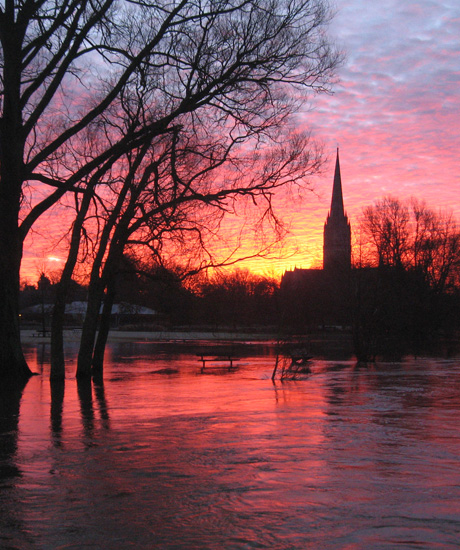 Find Out How To Visit Harnham Water Meadows Here Find Out How To Visit Harnham Water Meadows Here